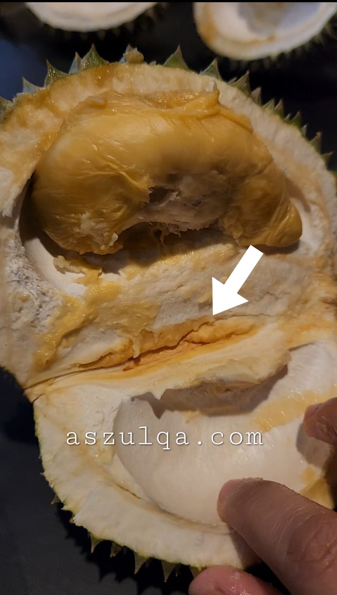 Ciri-ciri dan rasa durian black thorn, raja buah premium yang menjadi buruan penggemar durian ...