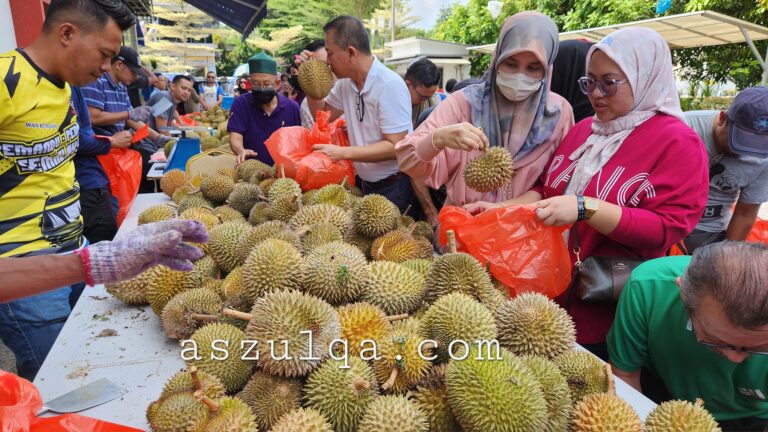 Khasiat & Manfaat buah durian: Raja buah yang eksotik – aszulqa.com