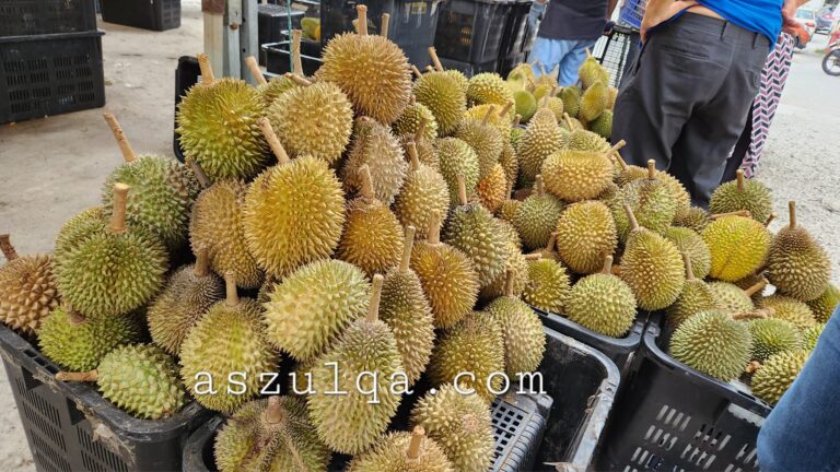 Durian Malaysia: Keajaiban Buah Durian yang Menggugat Selera – aszulqa.com