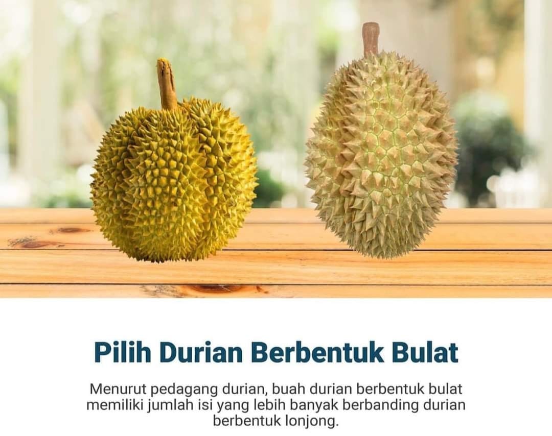 Tips memilih durian terbaik supaya anda tidak tersalah beli durian ...