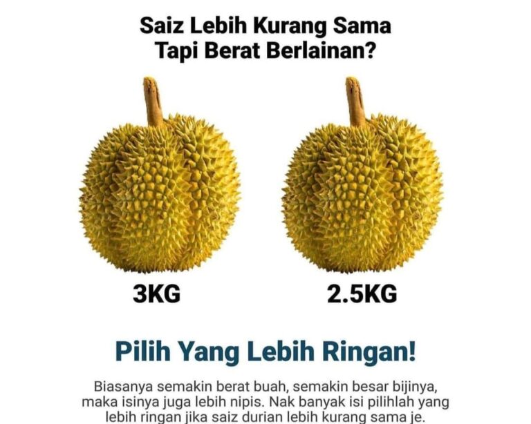 Tips memilih durian terbaik supaya anda tidak tersalah beli durian ...